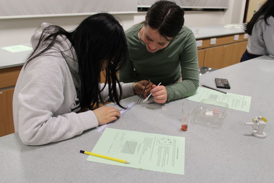 The Sixth Form Bolton - Future Honours Programme